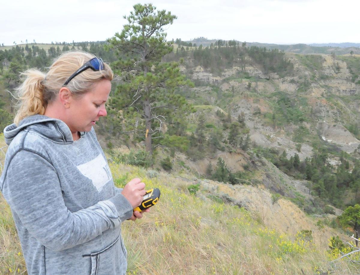 Miles City BLM hearing July 17 on draft EIS