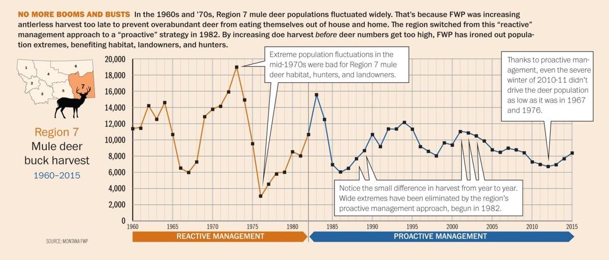Monitoring mule deer in Montana a calculating task | Outdoors ...