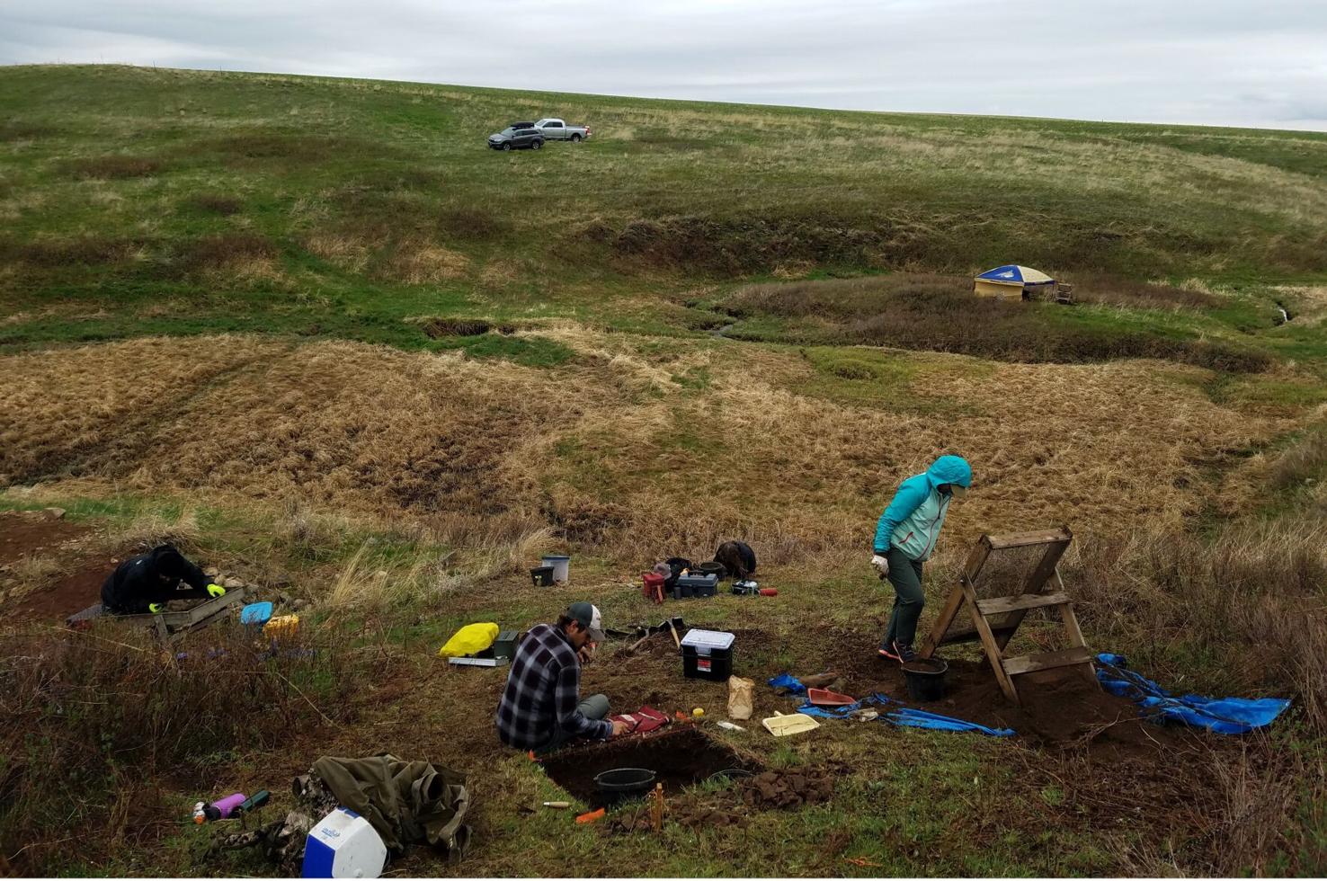 MSU study links drought to abandonment of Montana bison site