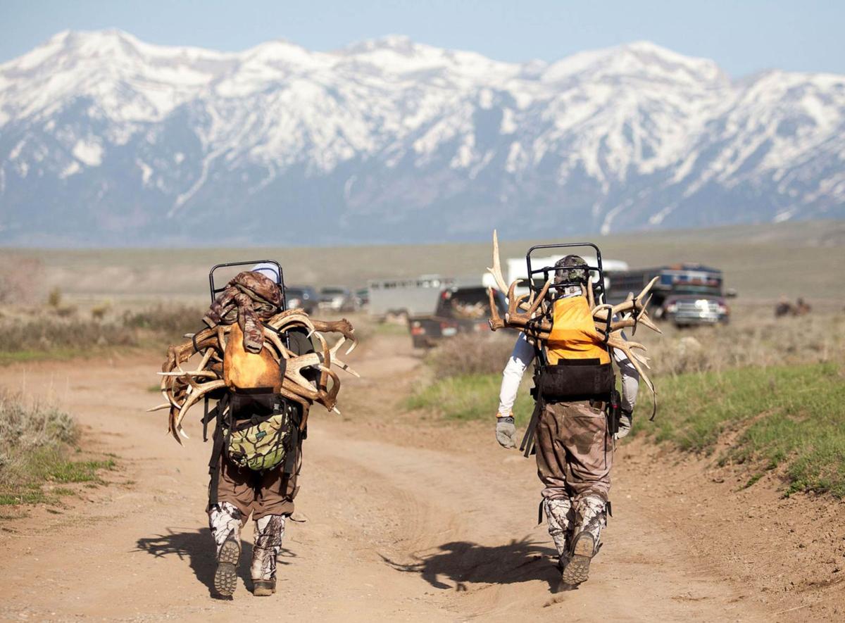 Crowds expected for opening of Wyoming antler hunting season