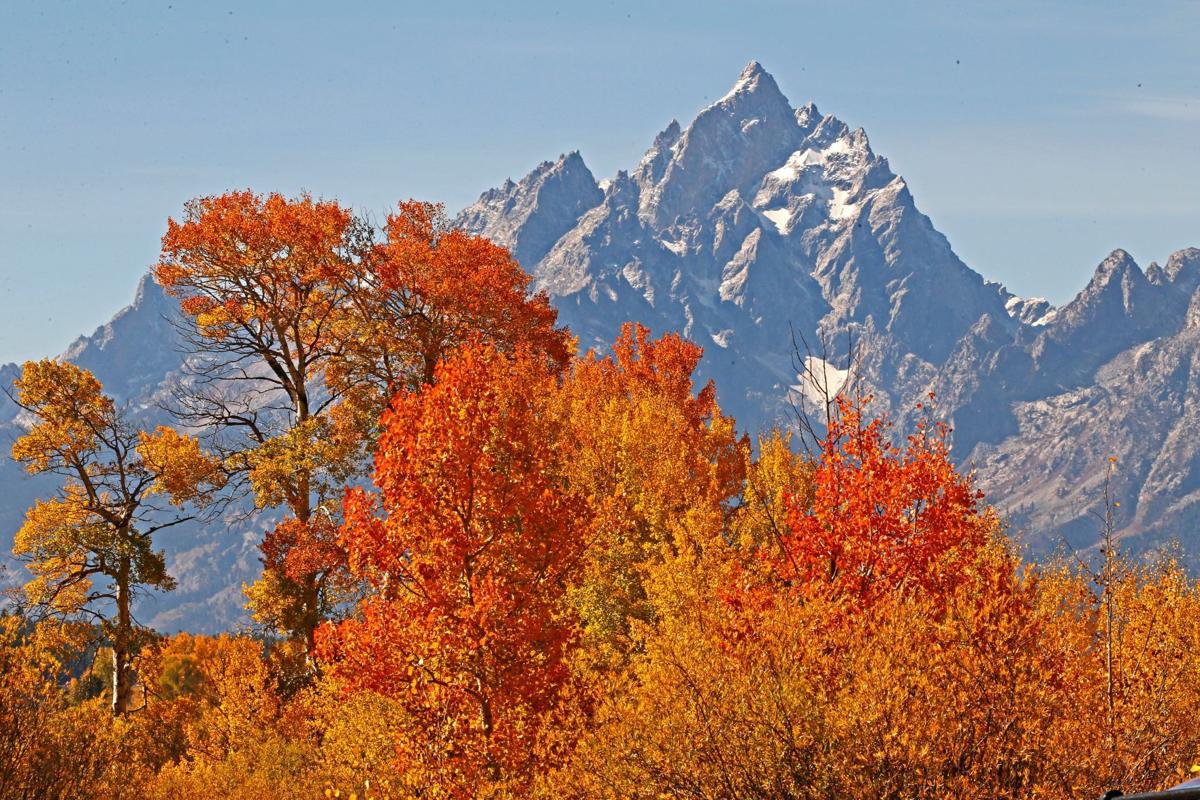 Why fall is breathtaking in Yellowstone and Grand Teton parks