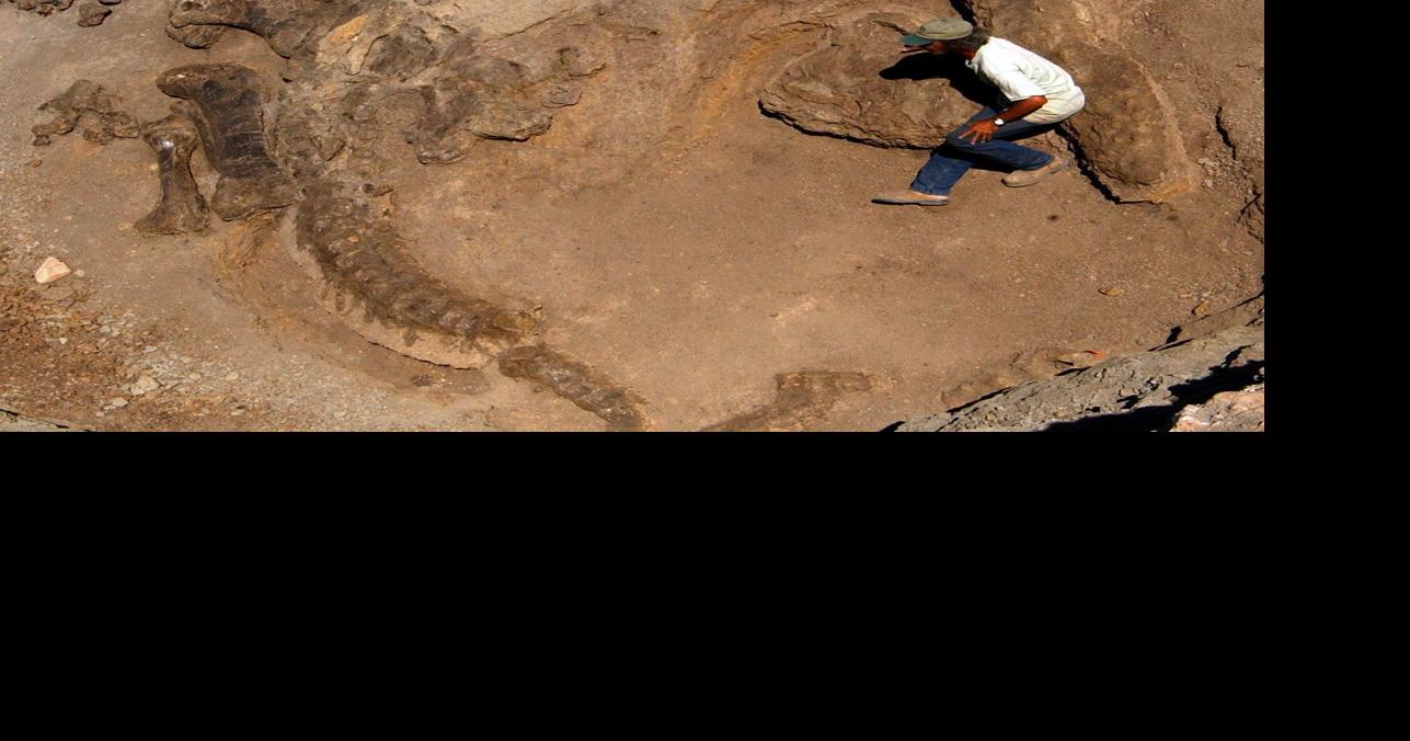 Visitors get hands dirty digging, cleaning dinosaur fossils in ...
