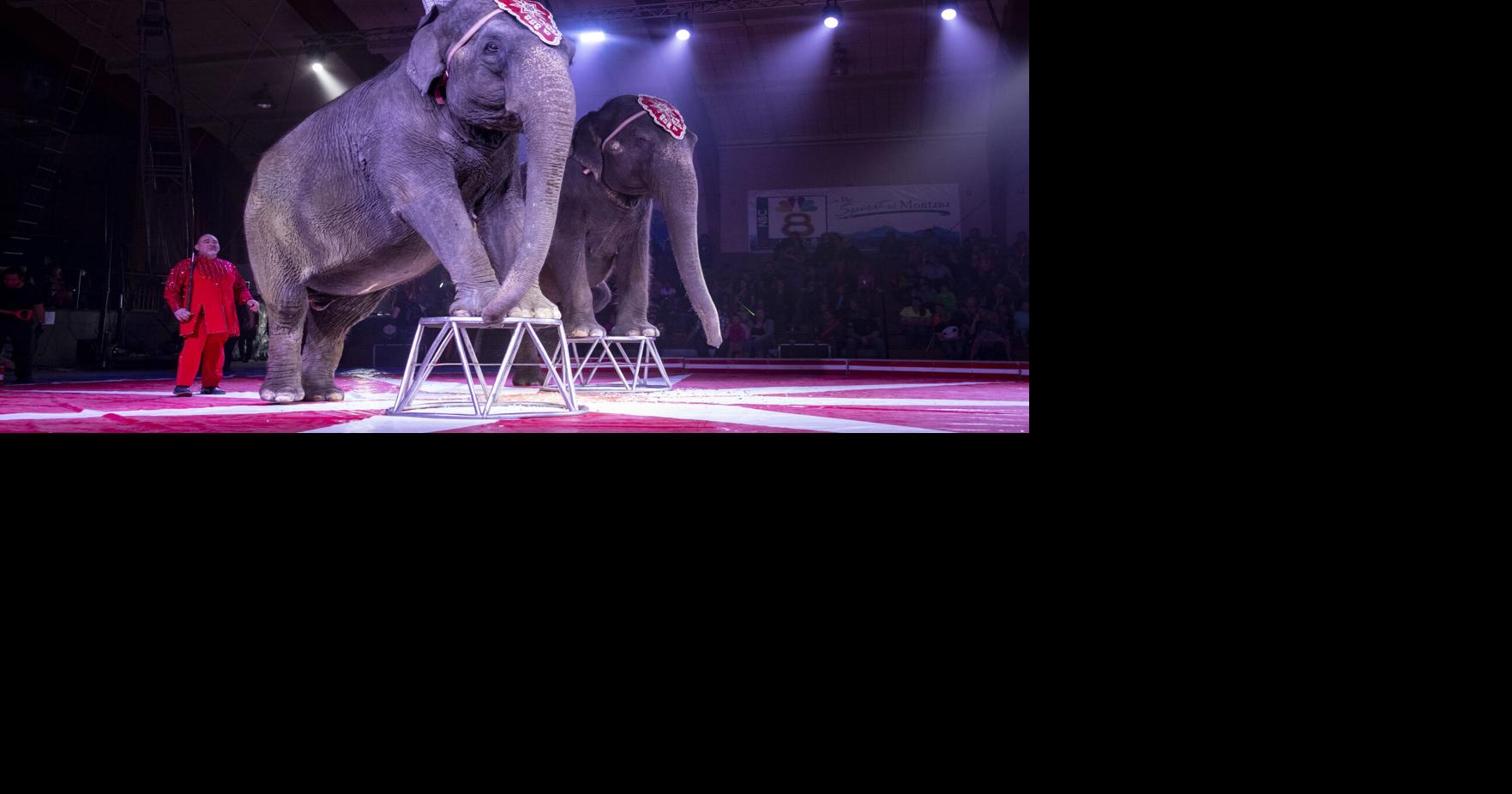 Photos: The Jordan World Circus at the Al Bedoo Shrine Auditorium