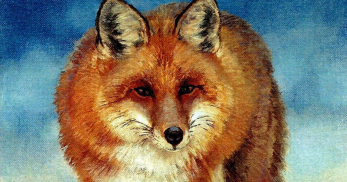 Red, arctic foxes' sharp skulls help them hunt mice