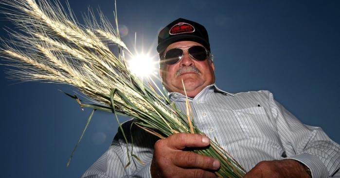 Yellowstone, Stillwater counties declare drought disasters