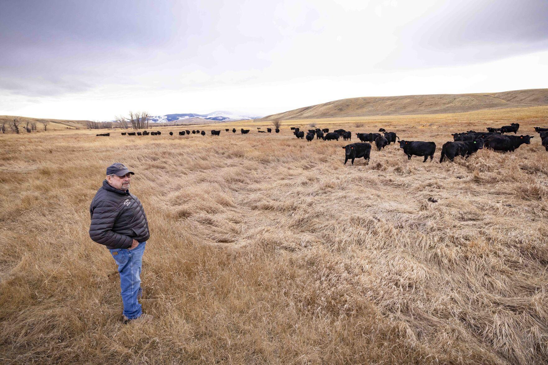 Is 'Yellowstone's' John Dutton real? Meet a real rancher