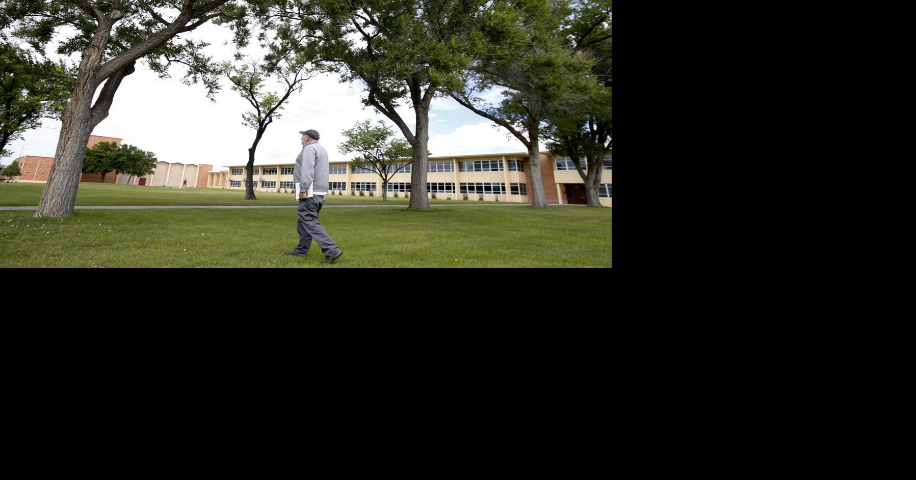 Invasive Siberian elm trees around Billings struggle to bounce back ...