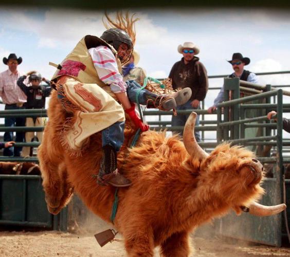 Young riders take bulls by the horns in Wyoming