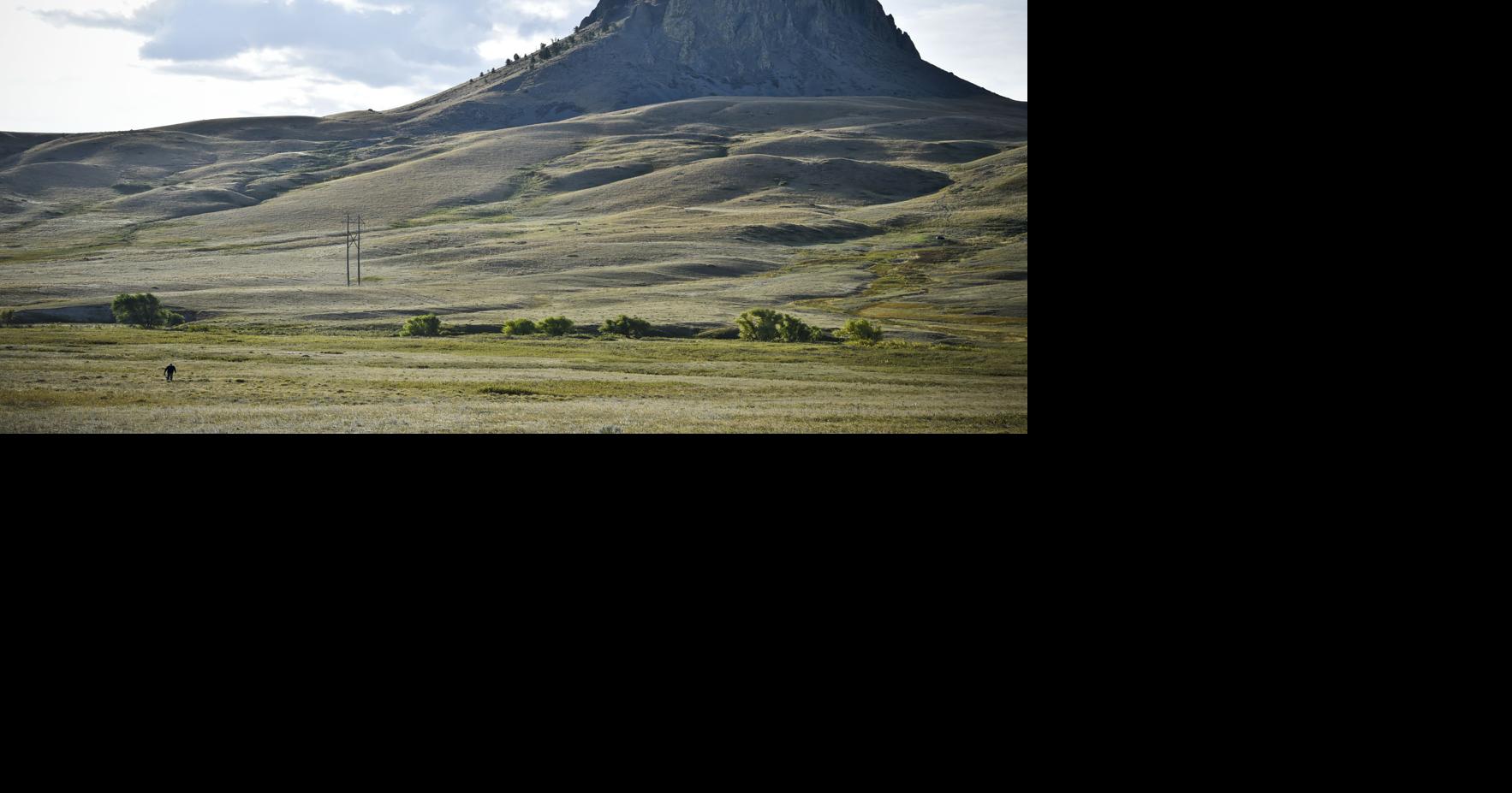 MSU Study: 1,066 species depend on declining rangelands