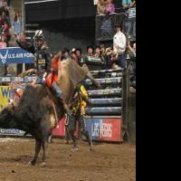 Surgery, better training help Oklahoma cowboy enjoy a breakout 2010 season