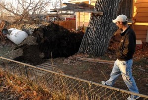 Fallen tree cuts power in Huntley