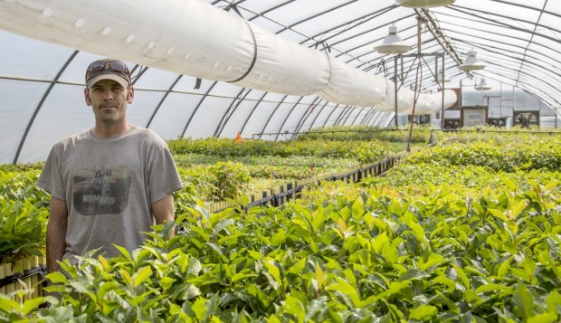 CSKT foresters earn accolades as tribal timber operations face budget ...