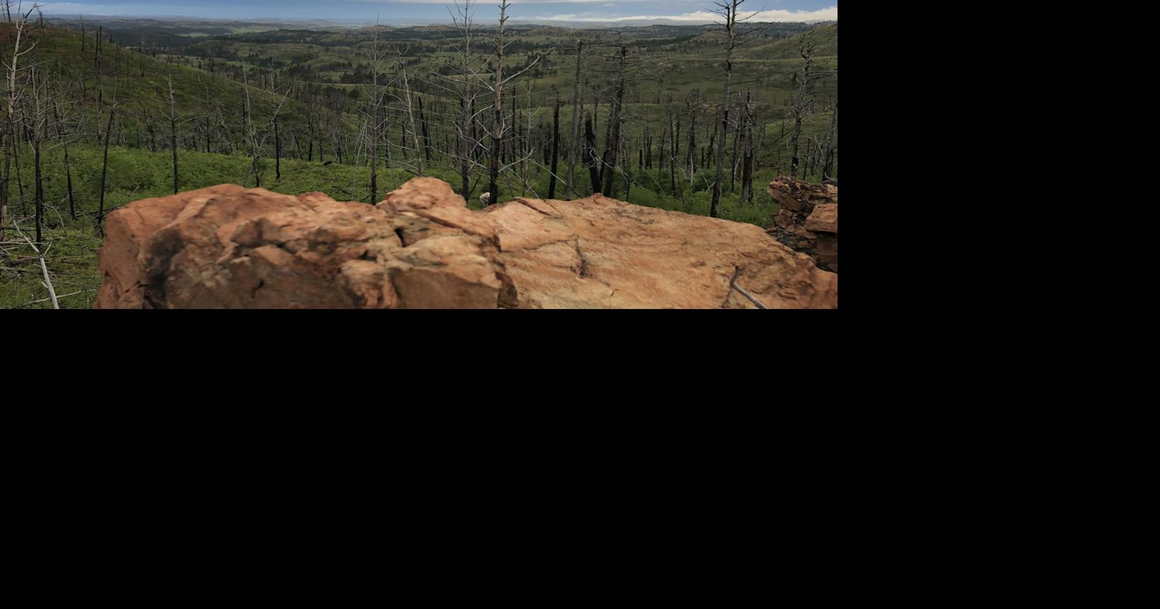 Prescribed fires proposed for Ashland Ranger District