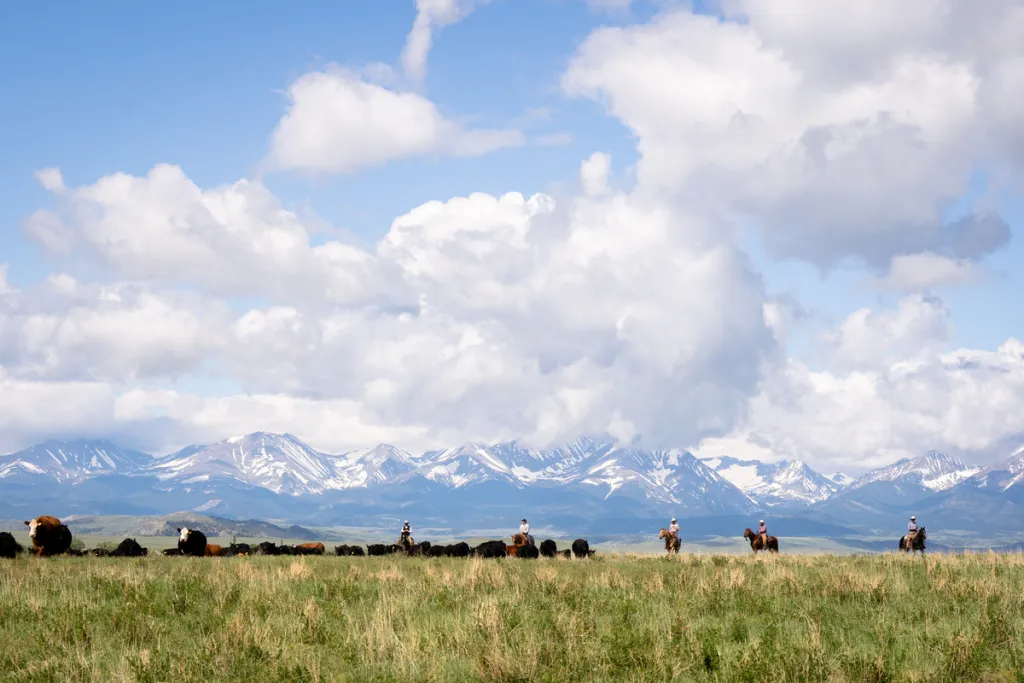 Melville ranch adds solar, joins growing number in Montana taking ...