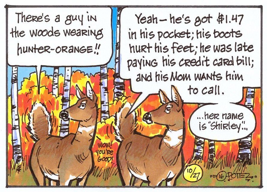 Deer talk to each other with sounds, smells and actions