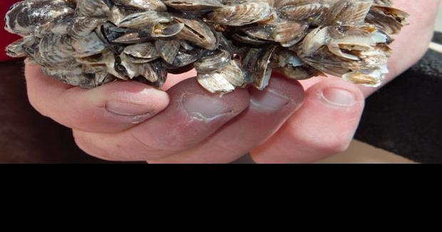 Wyoming outdoors: Checkpoints guard against aquatic invasive species