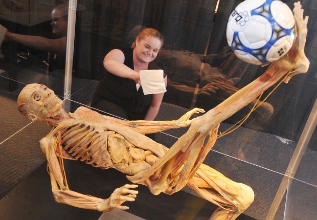 Human bodies on display at Rimrock Mall exhibit