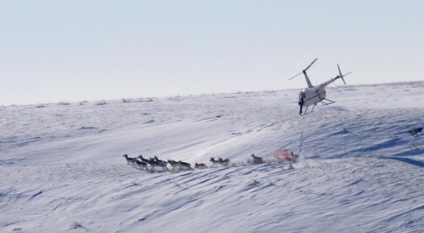Hi-Line research project looks at antelope migration patterns