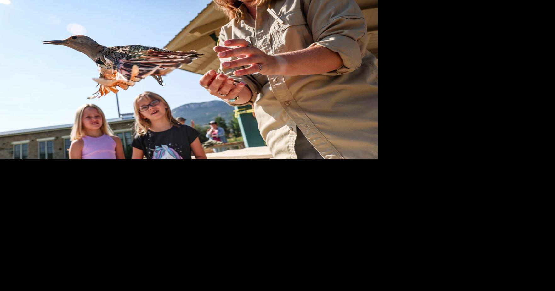 Helena bird banding program providing information to public