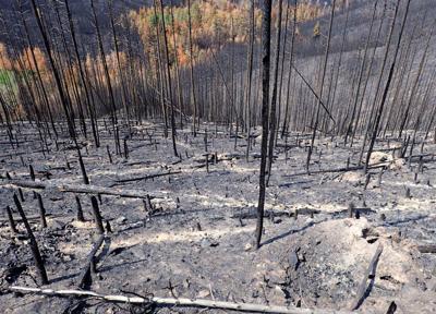 BLM reopens campgrounds in Little Rockies following fire; land and ...