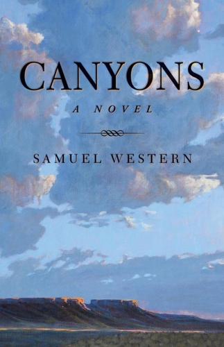 Review: 'Canyons' a book that takes the reader by surprise