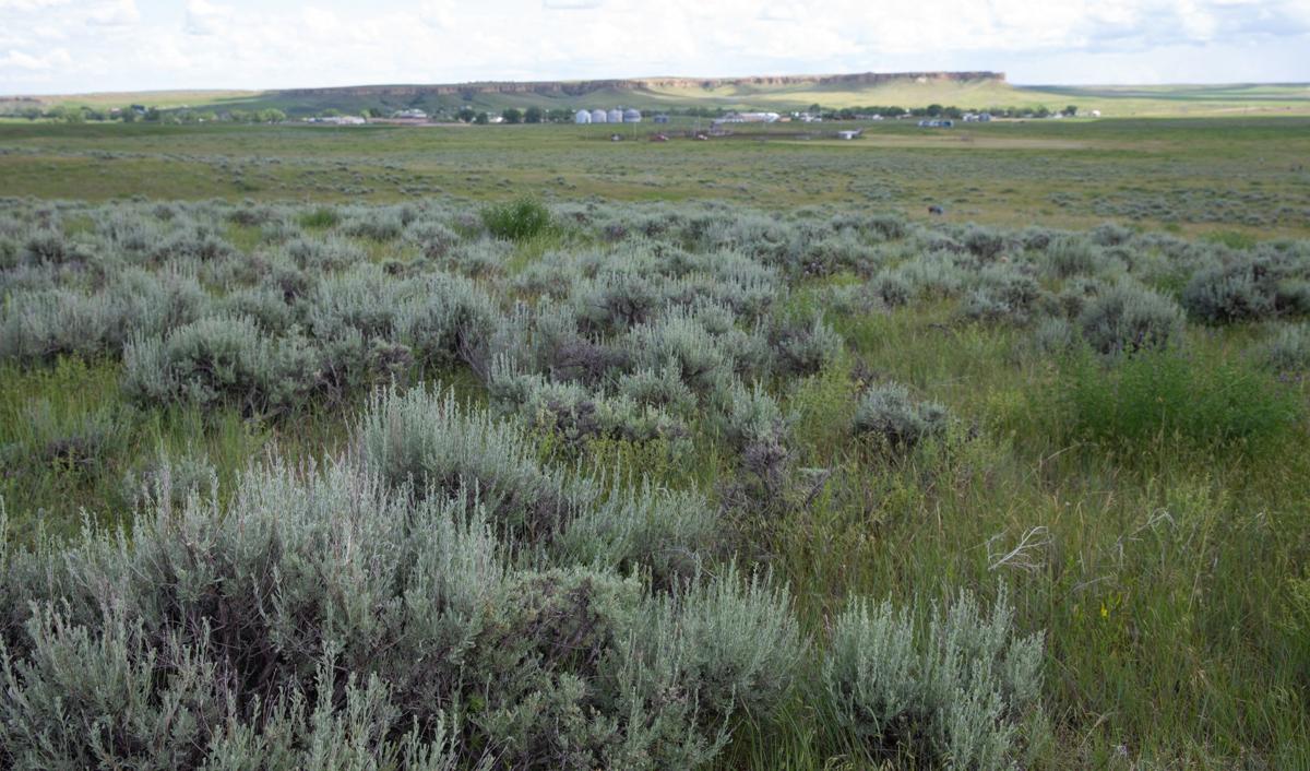 Tour highlights work to preserve sage grouse in Montana