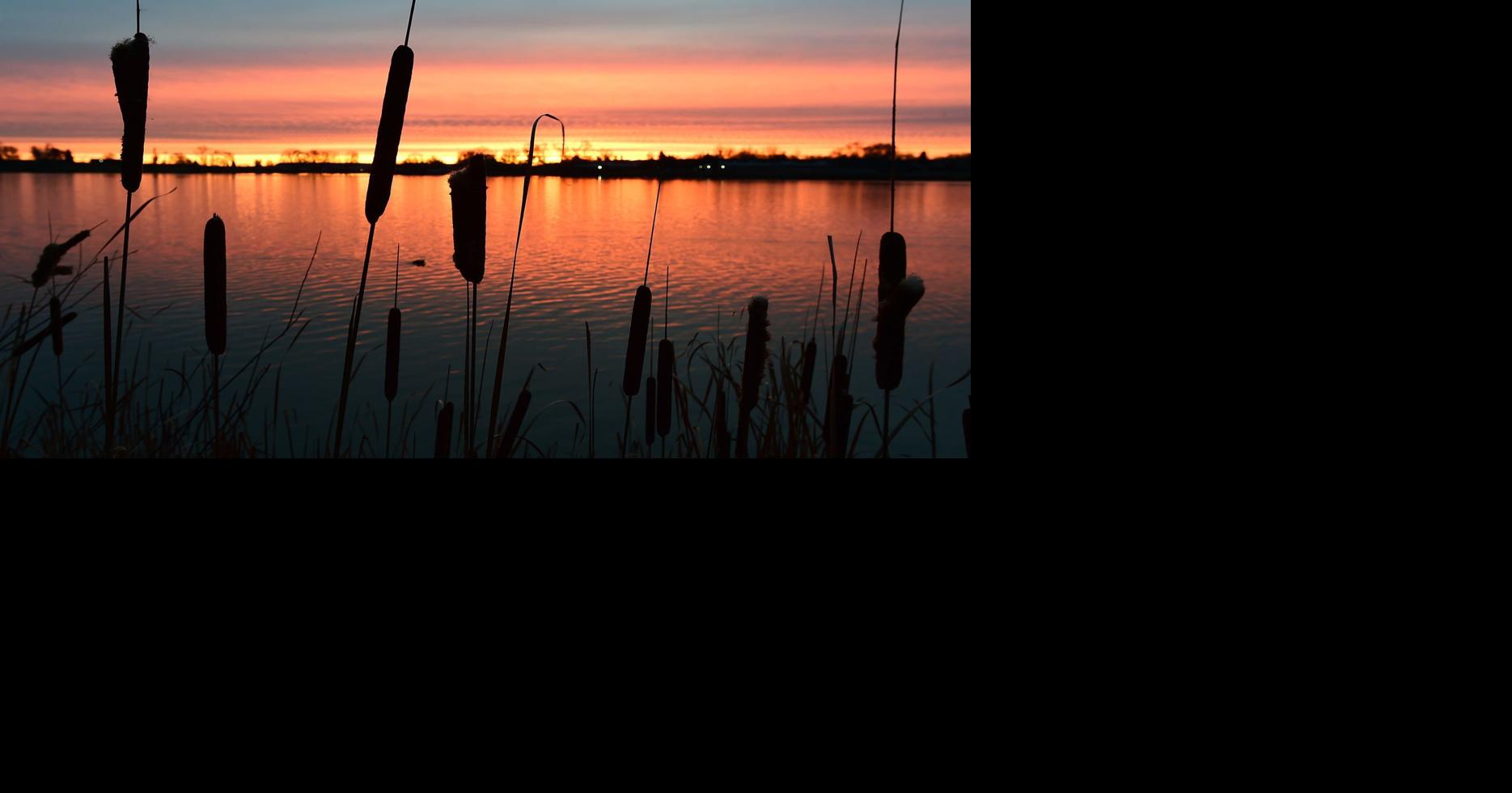 Off-duty detective rescues boy swimming at Lake Elmo
