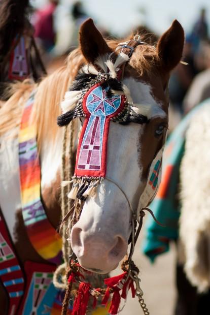 Gallery: Crow Fair on Saturday