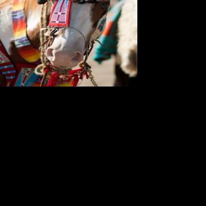 Gallery: Crow Fair on Saturday