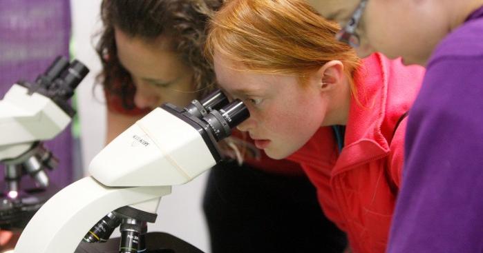 Chicks in Science inspires young girls in areas of STEM