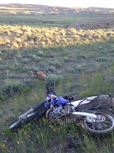 Laurel man recovering after motorcycle-deer collision on Molt Road ...