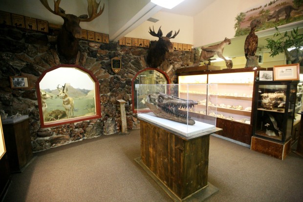 Small Ekalaka museum has some big aspirations