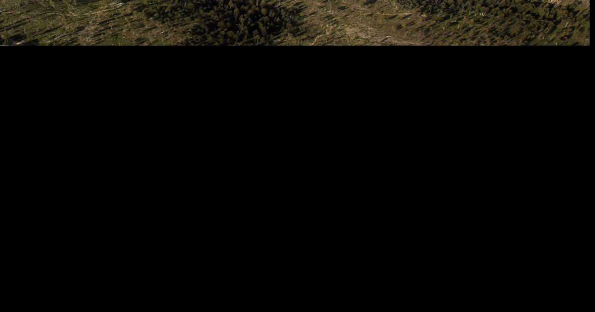 Jeff Darrah: Daines fighting for tools to manage our lands