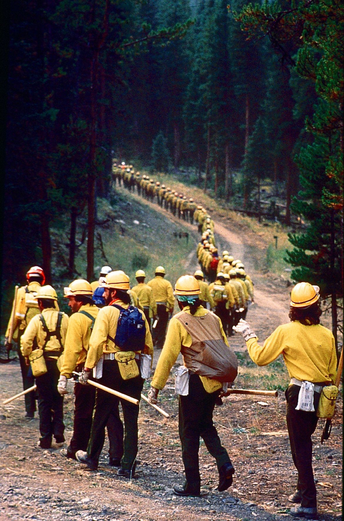 Yellowstone '88: The park is closed to visitors