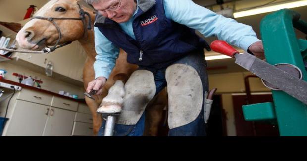 John Beug - Farrier & equine vet - Red Lodge