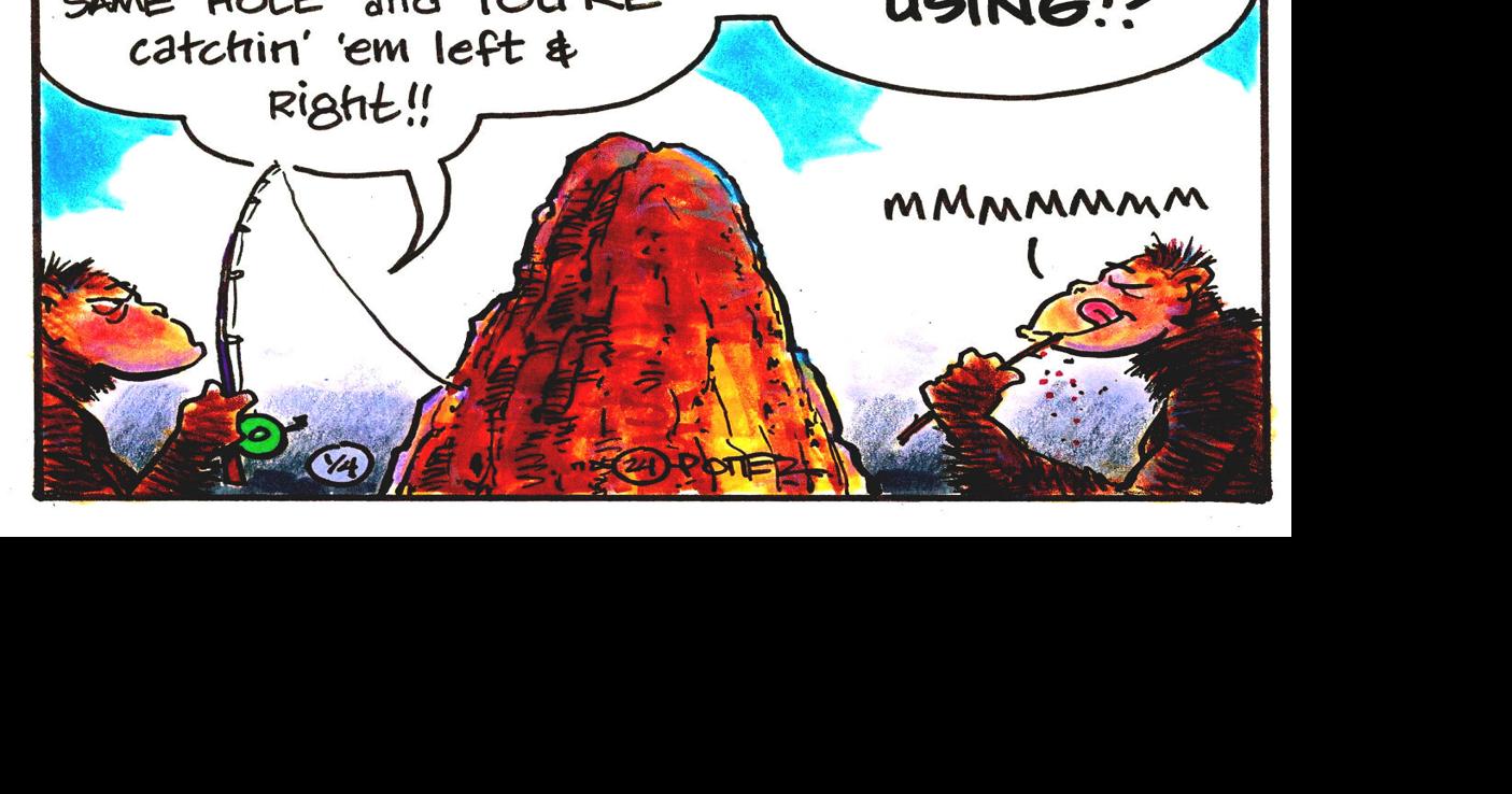 Why and when do chimpanzees fish for termites