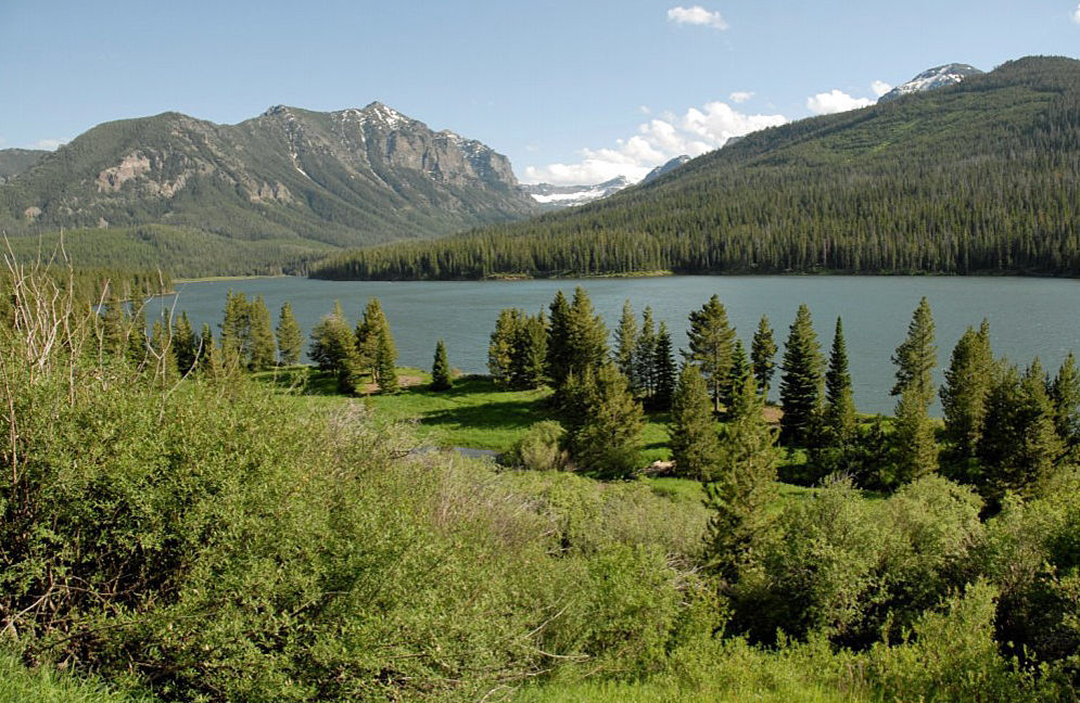 Surveyors return to Gallatin National Forest after 5 years to examine ...