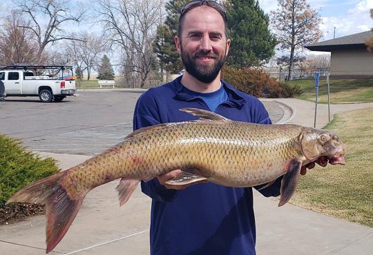 Montana angler lands new state record blue sucker