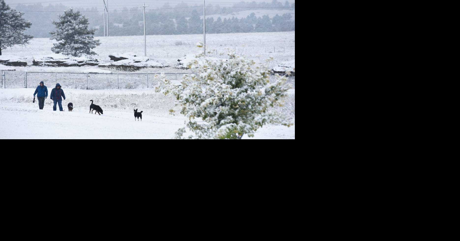 Skiff of snow drops on Billings Sunday morning