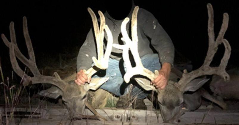 Men from Florida, Georgia, Wyoming convicted of poaching