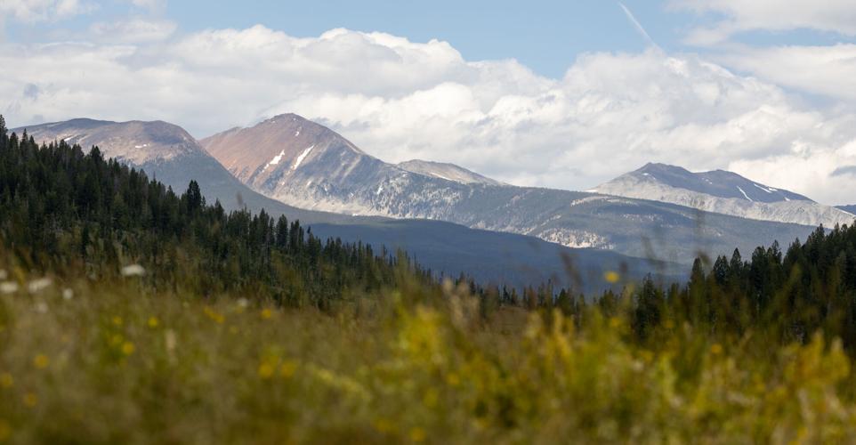 Anaconda commission to intervene in timber project lawsuit