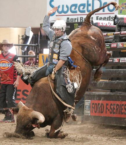 Lee gets 500th PBR ride at Billings event