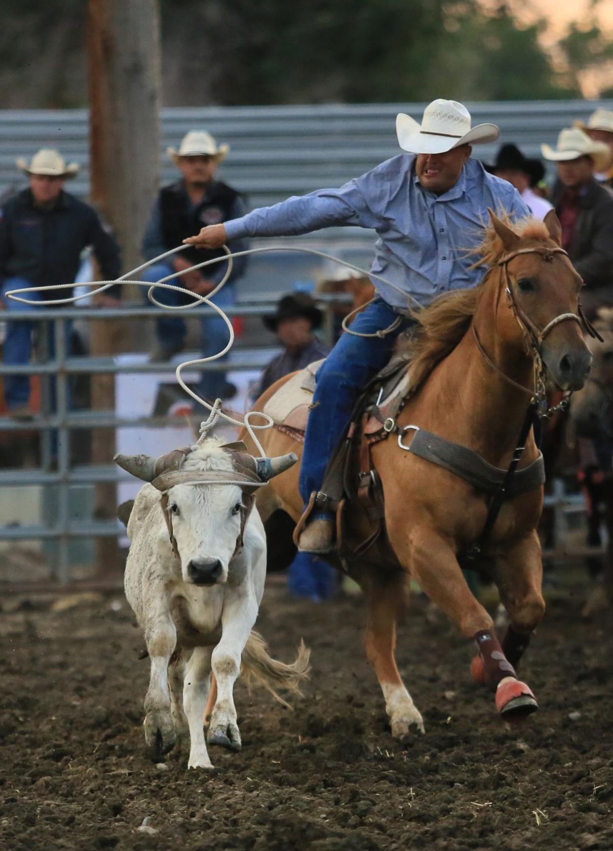 Steer roping talent highlights Yellowstone River Roundup | Rodeo ...