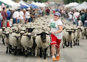 Crowd watches 20th annual sheep drive in Reed Point