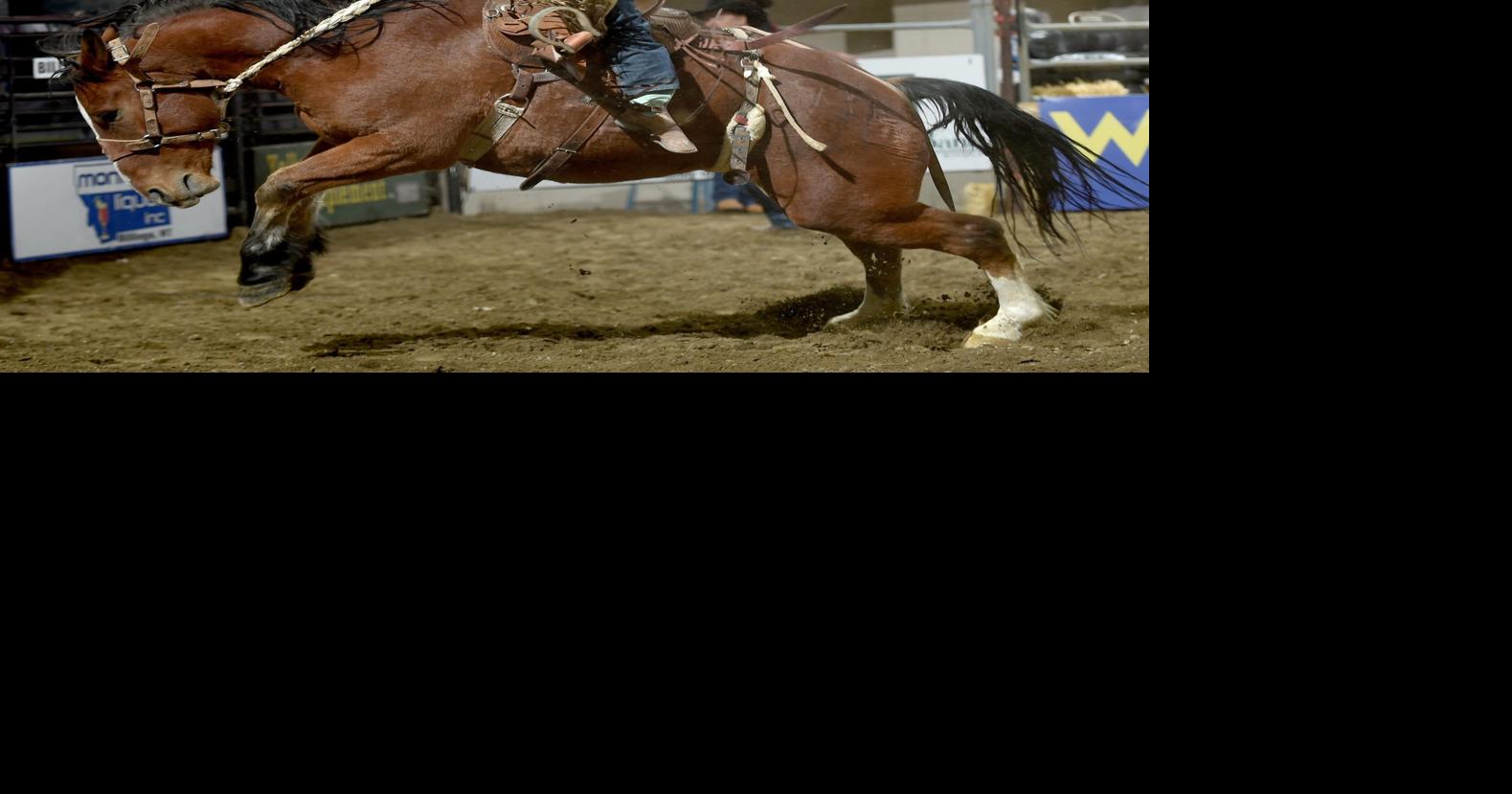 NILE Ranch Rodeo Finals results