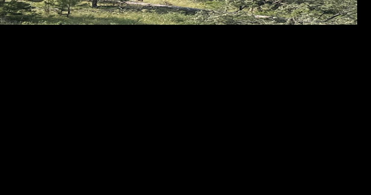 Sioux Ranger District suffers damage from high winds