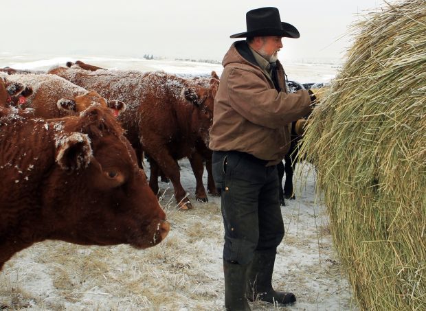 Cheyenne ranch wins conservation award