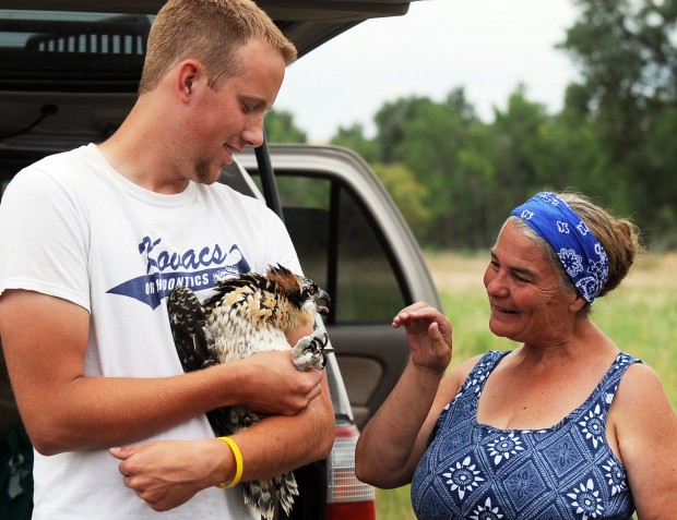 Osprey chicks studied for mercury