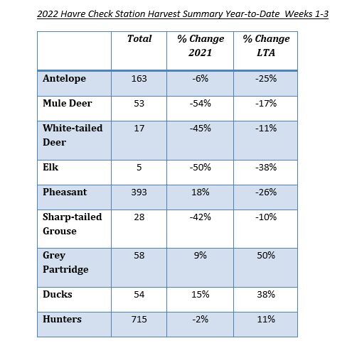 Hunter numbers up at Havre game check station