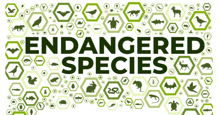 Explore endangered species in your state